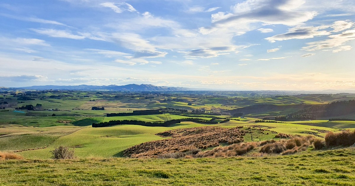 Compliance: The Foundation - Not the Finish Line • WM Environmental